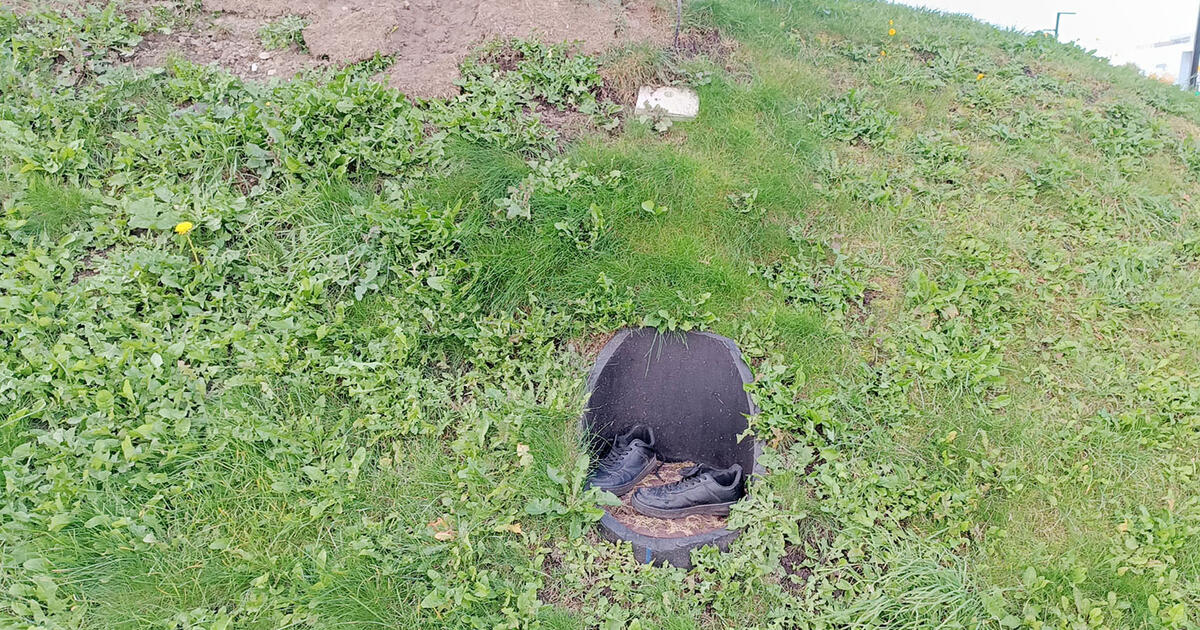 Bulvaras: Paliko batus kaip Vydūnas | Vakarų ekspresas