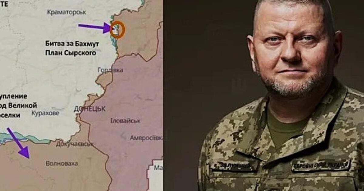 Strateginis skilimas: Valerijaus Zalužno doktrina ir 2023 metų ...