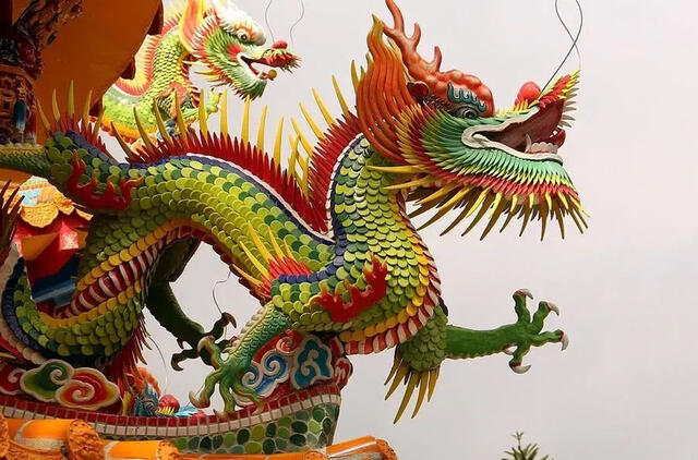 Kuo ypatingi bus Drakono metai?